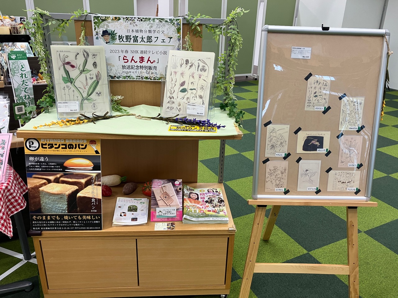 練馬区の観光案内所に高知県PRコーナー登場！ - isana Inc